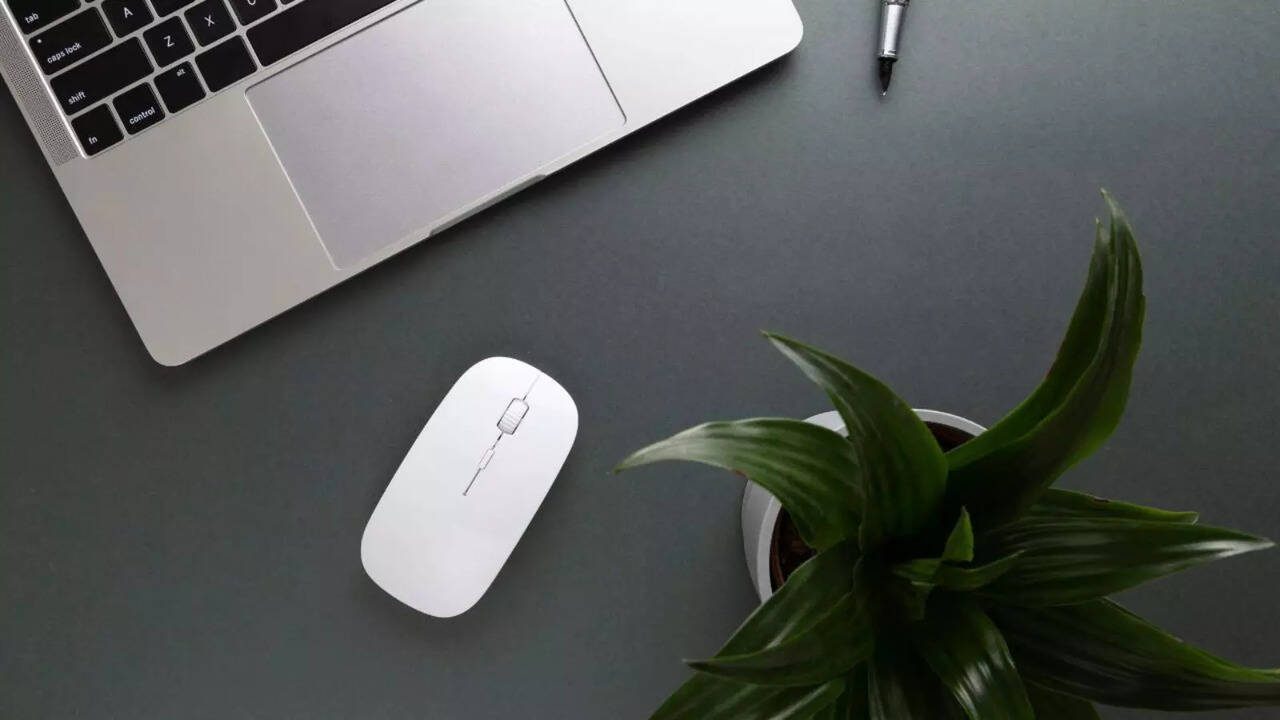 Best Wireless Mouse for Working Professionals